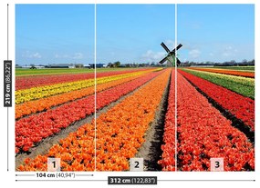 Fototapeta Větrný mlýn tulipány 104x70