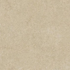 Dlažba Hektor taupe 60/60 (2cm)
