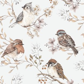 Dekornik Tapeta na zeď Birds White-Gray, 50x280 cm