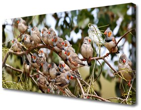 Obraz na plátně Ptáci Zvířata 140x70 cm