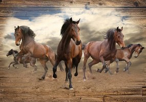 Postershop Fototapeta vliesová: Koně (3) - 184x254 cm