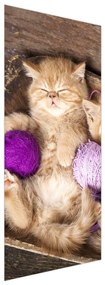 Fototapeta na dveře - kotě s fialovými klubíčky (95x205cm)