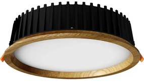 APLED - LED Podhledové RONDO WOODLINE LED/18W/230V 3000K pr. 26 cm dub masiv