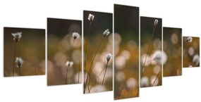 Obraz - Louka s cottongrass N⁰2 (210x100 cm)