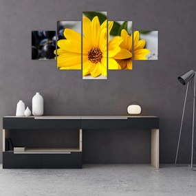 Obraz žluté květiny (125x70 cm)