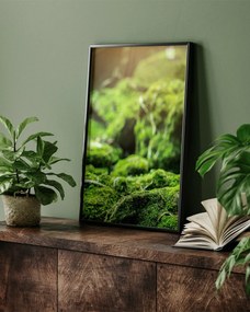 Oboustranný plakát Divoké Borovice / Mech | 30 x 42 cm | DP351317