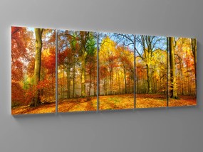 Liox Obraz barevný podzim Rozměr: 125 x 50 cm