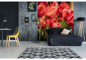 DIMEX | Vliesová fototapeta na zeď Červené tulipány MS-3-0128 | 225 x 250 cm | červená, zelená
