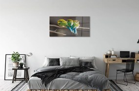 Obraz na skle Ptáci na větvi 100x50 cm