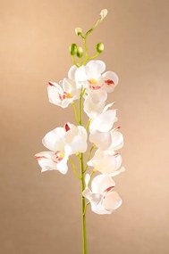 Paramit MOKARA ORCHID Aranžovací květina bílá 49 cm