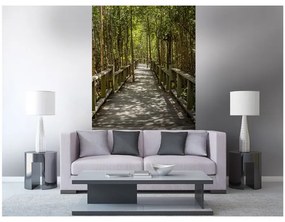 DIMEX | Vliesová fototapeta na zeď Mangrovový les MS-2-0059  | 150 x 250 cm | hnědá, zelená