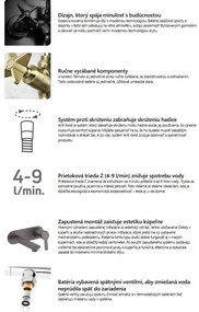 Deante Temisto, podomítková bidetová baterie, mosazná, DEA-BQT_M34M
