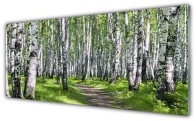 akrylový obraz Les Stezka Příroda 125x50 cm