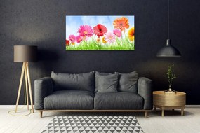 akrylový obraz Květiny tráva Rostlina 100x50 cm