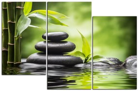 Obraz na plátně - Zen kameny a bambus 1193C (135x90 cm)