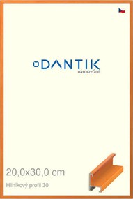 DANTIK rámeček 20x30 | ALU profil 6030 Dýha barevná oranžová (Sklo Čiré)