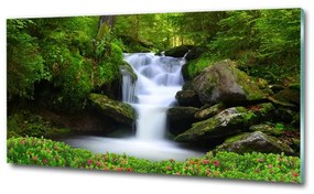 Wallmuralia Fotoobraz na skle Vodopád v lese 100x50