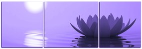 Obraz na plátně - Zen lotus - panoráma 5167VC (120x40 cm)