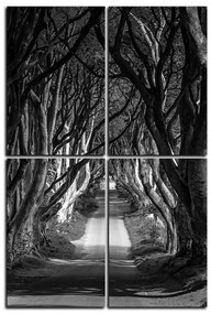 Obraz na plátně - Tmavé ploty v Irsku  - obdélník 7134QD (120x80 cm)