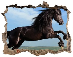 Wallmuralia Díra 3D fototapeta na stěnu Černý kůň na louce 95x64 cm