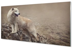 akrylový obraz vlk hory 100x50 cm