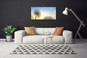 Obraz na plátně Pampeliška Květiny 120x60 cm