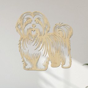 dřevo života Dřevěný obraz Havanský psík (Havanese) Zvolte rozměr (cm): 38x40, Zvolte barvu dekoru: Javor