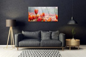 Obraz na skle Tulipány Květiny Rostlina 120x60 cm