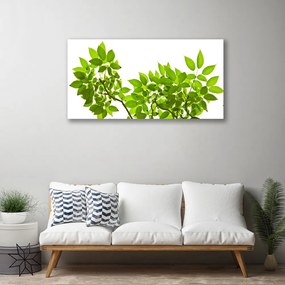 Obraz na plátně Větev Listy Rostlina Příroda 140x70 cm