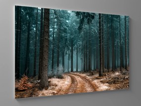 Liox Obraz chladný les Rozměr: 150 x 100 cm