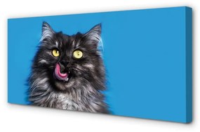 Obrazy na plátně Oblizujący kočka 120x60 cm