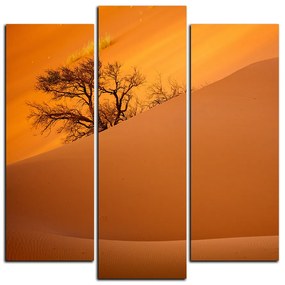 Obraz na plátně - Červené písečné duny - čtverec 3133C (75x75 cm)