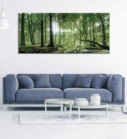 Malvis ® Obraz ranní slunce v lese Velikost (šířka x výška): 100x45 cm