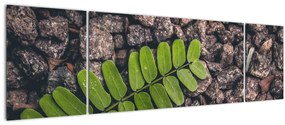 Obraz zelené rostliny (170x50 cm)