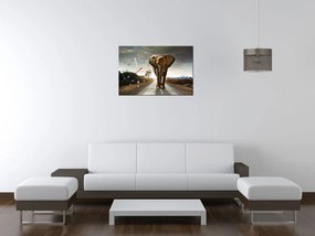 Gario Obraz s hodinami Osamělý silný slon Rozměry: 30 x 30 cm