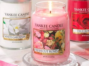 Yankee Candle – votivní svíčka Fresh Cut Roses (Čerstvě nařezané růže), 49 g