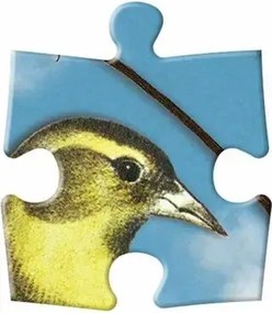Galison Oboustranné puzzle Ptačí symfonie / 250 dílků / od 8 let