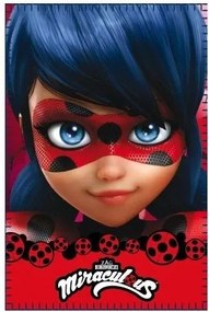 Deka Beruška A Černá Kočka Deka Miraculous Miraculum Ladybug Zag Heroez