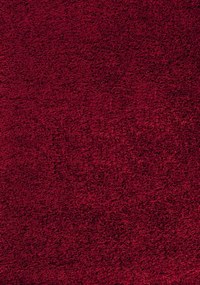 Hans Home | Kusový koberec Dream Shaggy 4000 Red - 60x110