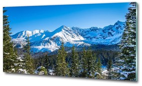 Wallmuralia Foto obraz skleněný horizontální Panorama Tater 100x50