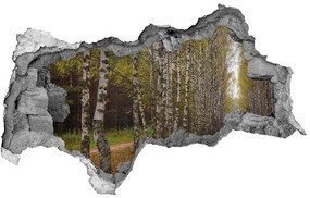 Wallmuralia Díra 3D ve zdi nálepka Alej bříz 95x73 cm