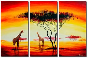 Obraz Dvě nesmělý žirafy