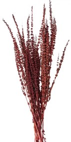 Sušené květy červené 85 cm (100 gr) – 85 cm