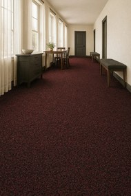 Rinos bv, Čistící zóna Robust 139 červená, šíře 200 cm, šíře 1,35m,2m, červená, pvc, chodba / předsíň
