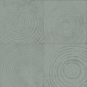 Vliesová tapeta na zeď zelená, imitace dřeva s letokruhy 347547, Matières - Wood, Origin
