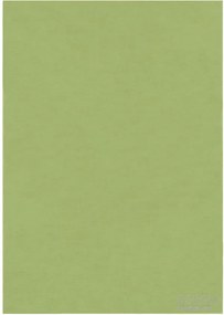 Breno Kusový koberec COLOR UNI Dark Green, 120x170 cm, Zelená