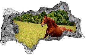 Wallmuralia Díra 3D fototapeta na stěnu Kůň na louce 95x73 cm