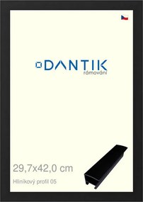 DANTIK rámeček 29,7x42 | ALU profil 7005 Černá matná (Plexi Čiré)
