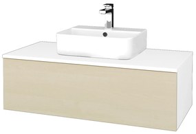 Dřevojas Koupelnová skříňka MODULE SZZ1 100 Varianta: N01 Bílá lesk / D02 Bříza