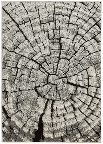Koberce Breno Kusový koberec PHOENIX 6021 - 0244, Hnědá, Vícebarevné, 160 x 230 cm